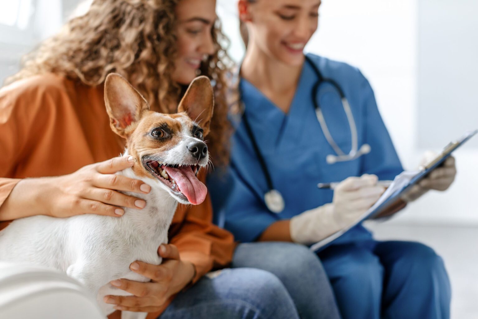 Vet Near Rochester, NH | The Animal Hospital of Barrington