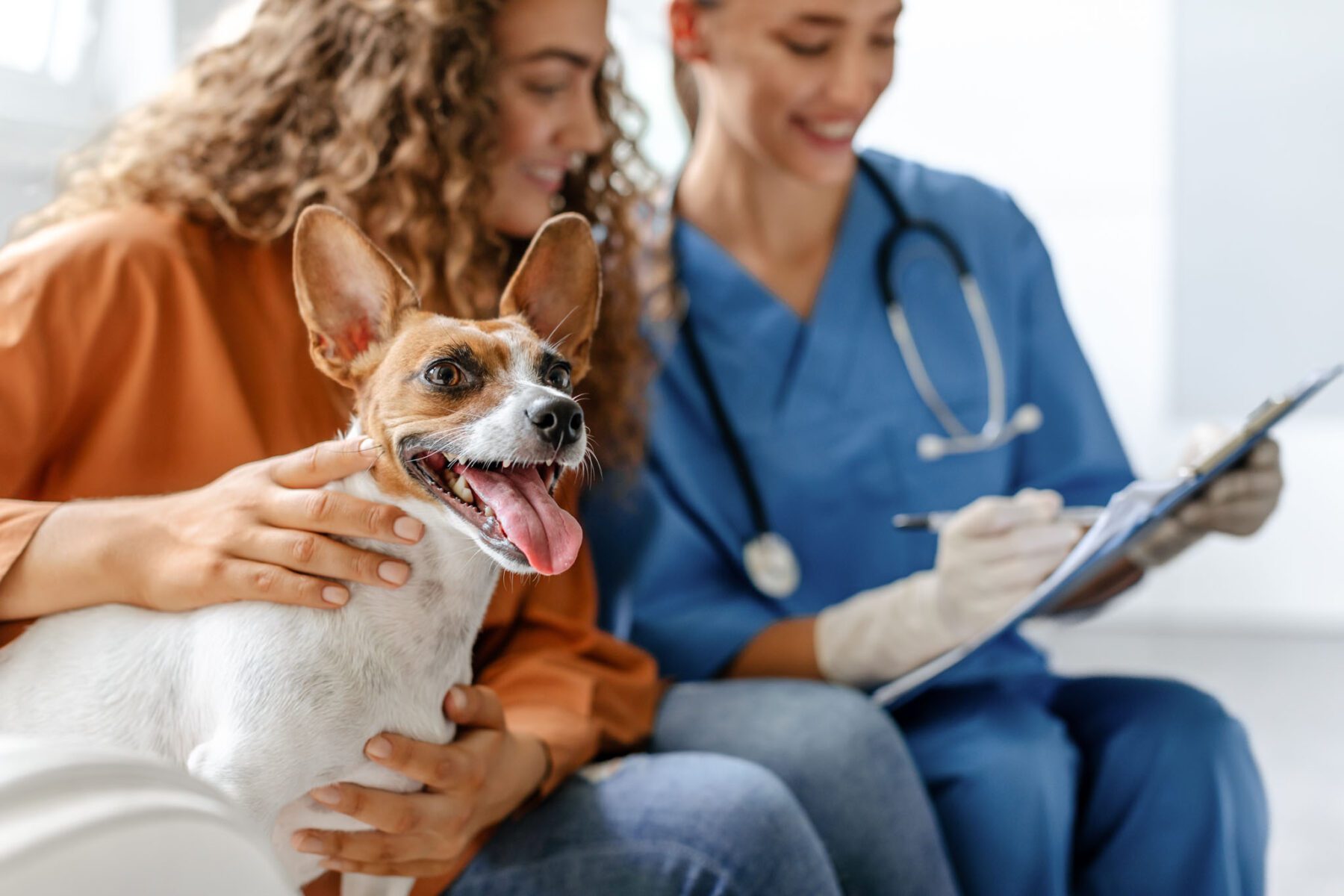 Our Veterinary Blog | The Animal Hospital of Barrington