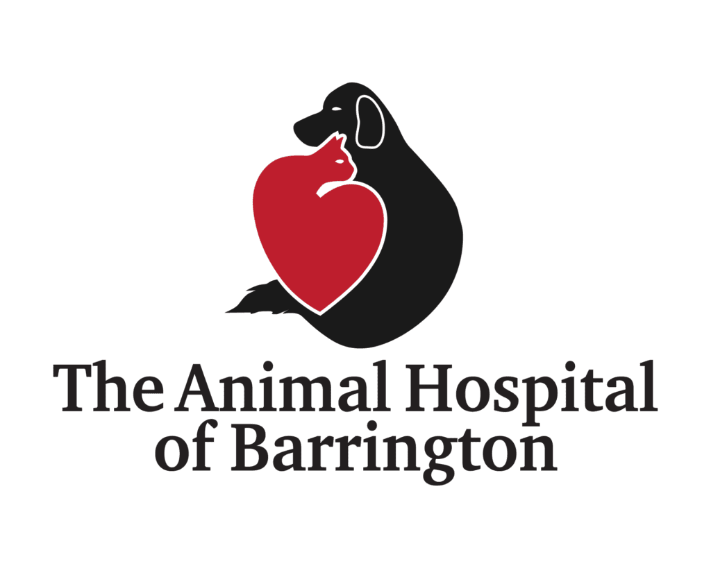 Vet Near Rochester, NH | The Animal Hospital of Barrington